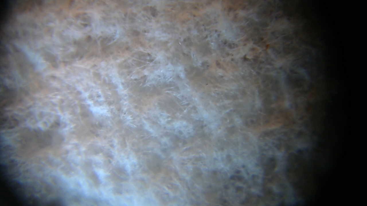 DIY Digital Microscope